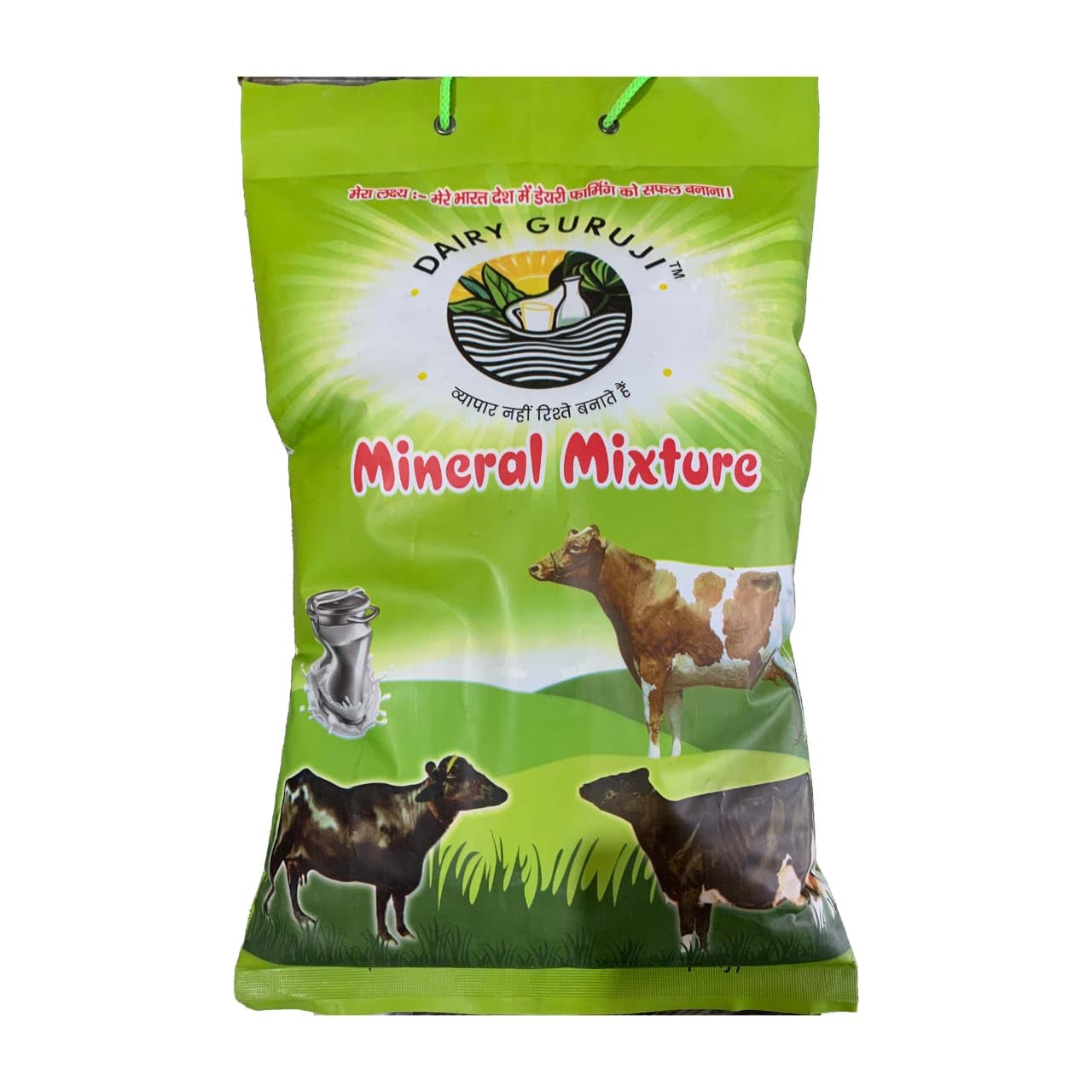DAIRY GURUJI Animal Care 5 Kg Packet Pack of 1 Mineral Mixture for Cow ...