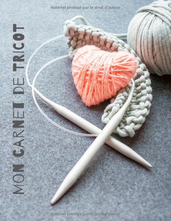Buy MON CARNET DE TRICOT : Carnet de 40 fiches pré-remplies pour noter ...