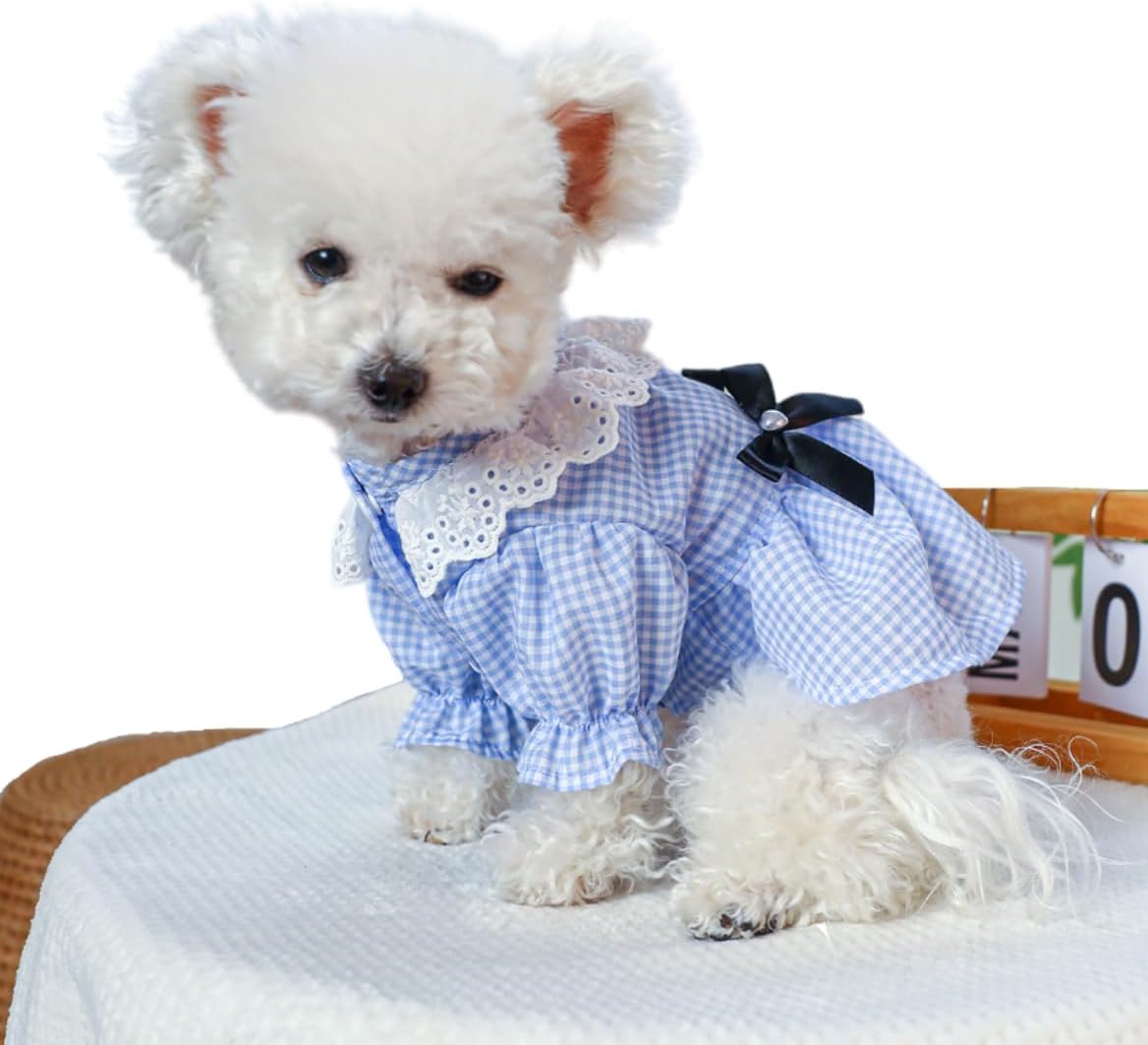Amazon.com : Dog Summer Dress Extra Small Dog Clothes Dog Shirt Dog ...