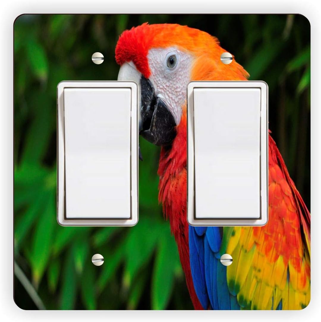 Rainbow Color Parrot on Green - Double Rocker Light Switch Cover ...