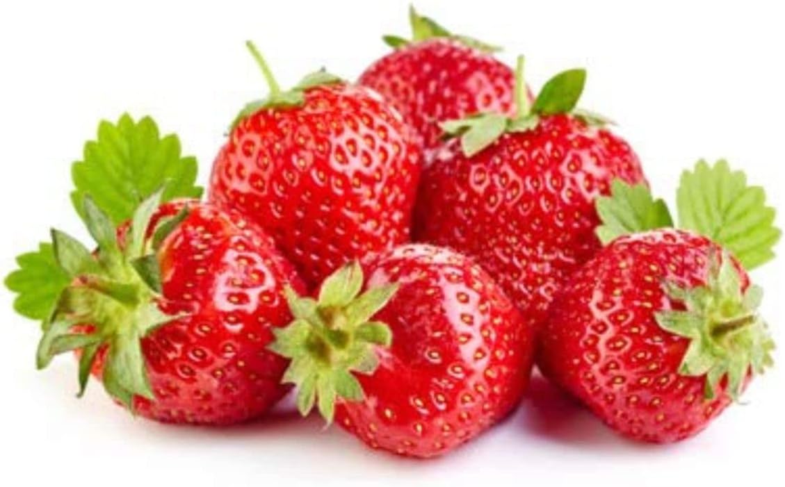 FRAISE GARIGUETTE - La barquette de 250g : Amazon.fr: Epicerie