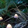 Lights4fun Set of 12 Solar Powered Mini Mushroom Toadstool Outdoor IP44 ...