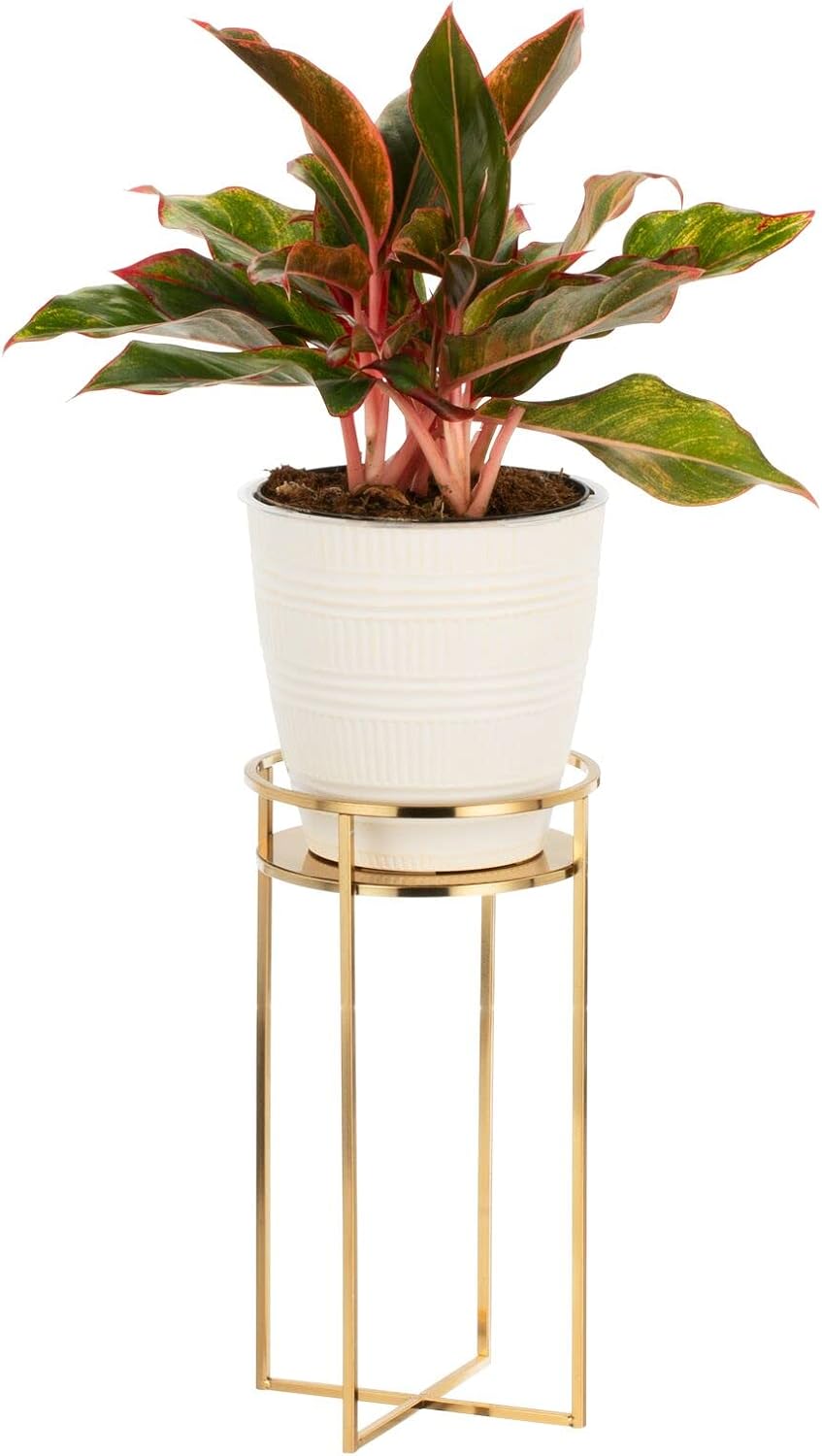 mDesign Mid Century Planter Indoor/Outdoor Modern Plant Stand for ...