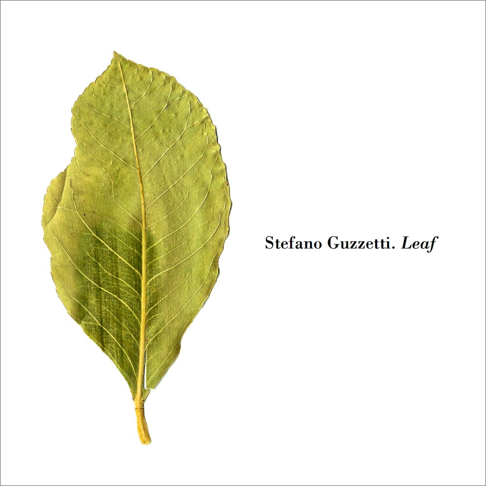 Stefano Guzzetti - Leaf - Amazon.com Music