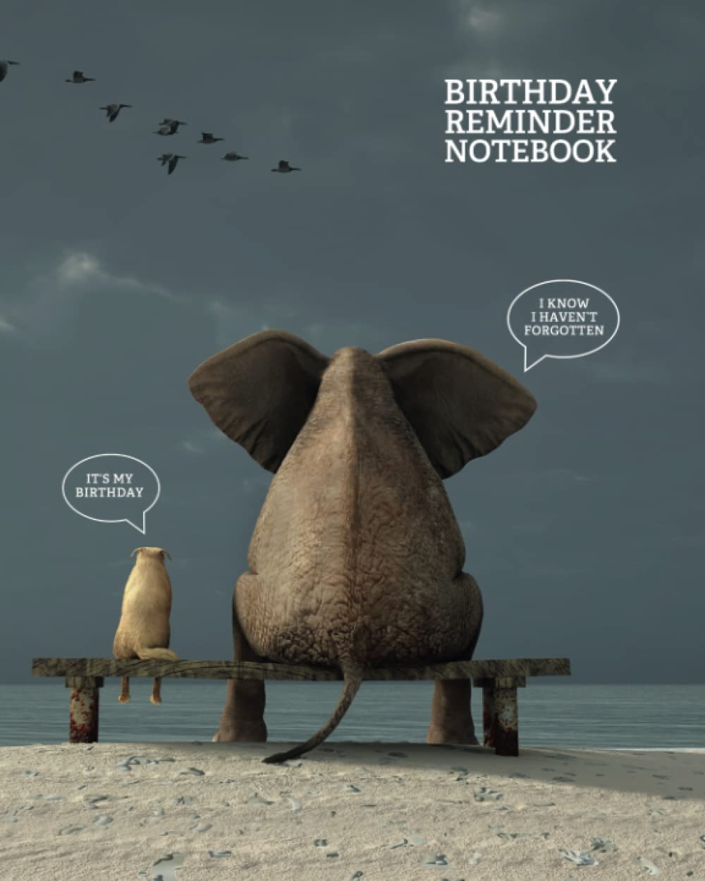 Birthday Reminder Notebook: Monthly Index | Important Dates Reminder ...