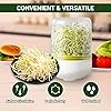 Buy SHOPVILLA Multi Use Sprouts Maker Box - Countertop Sprouter Growing ...