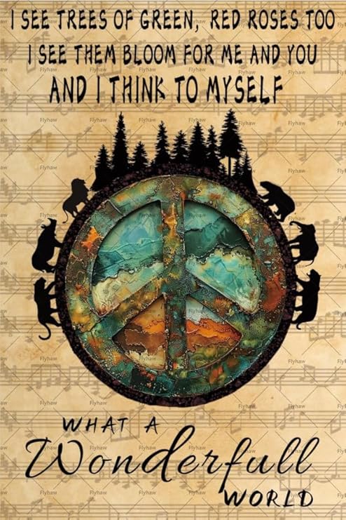 Amazon.com: What A Wonderful World Tin Signs Vintage Garden Signs peace ...