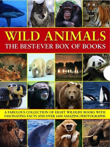 Wild Animals: The Best-ever Box of Books: Bright, Michael, Green, Jen ...