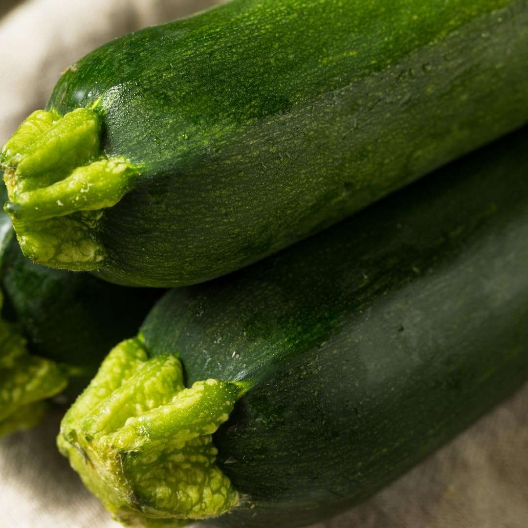 PREMIER SEEDS DIRECT - Vegetable - COURGETTE Defender F1-11 Seeds ...