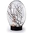 Amazon.com : EcoSphere Closed Aquatic Ecosystem, Small Pod, with Turntable Base : Pet Supplies