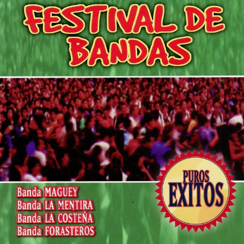 Play Festival De Bandas by VARIOUS ARTISTS on Amazon Music