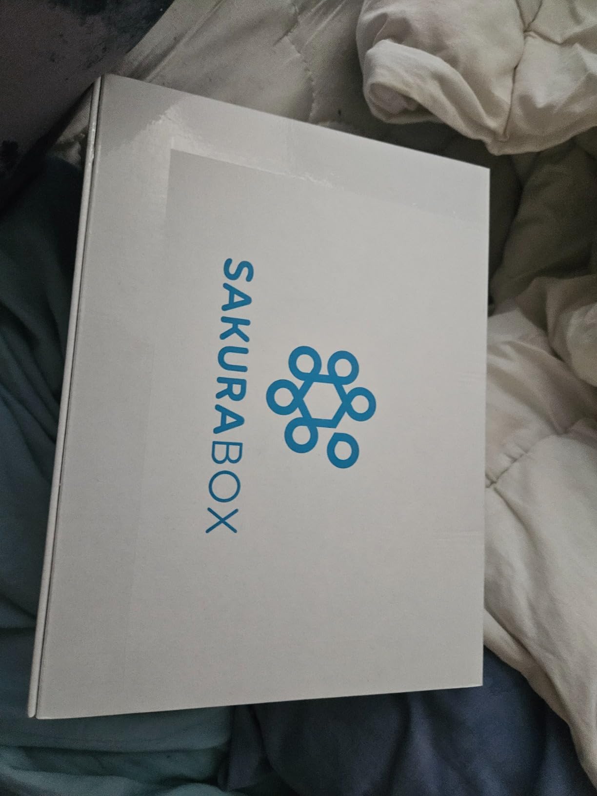 Sakura Box Japanese Snacks & Candy Box Dagashi Food Set 30 Piece Snack ...