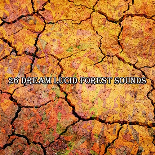 Play 26 Dream Lucid Forest Sounds by Sounds of Nature Relaxation on ...