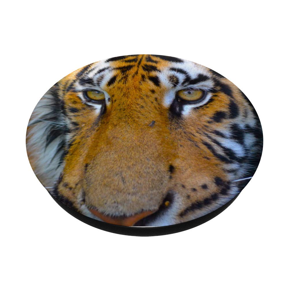 E Tiger Phs