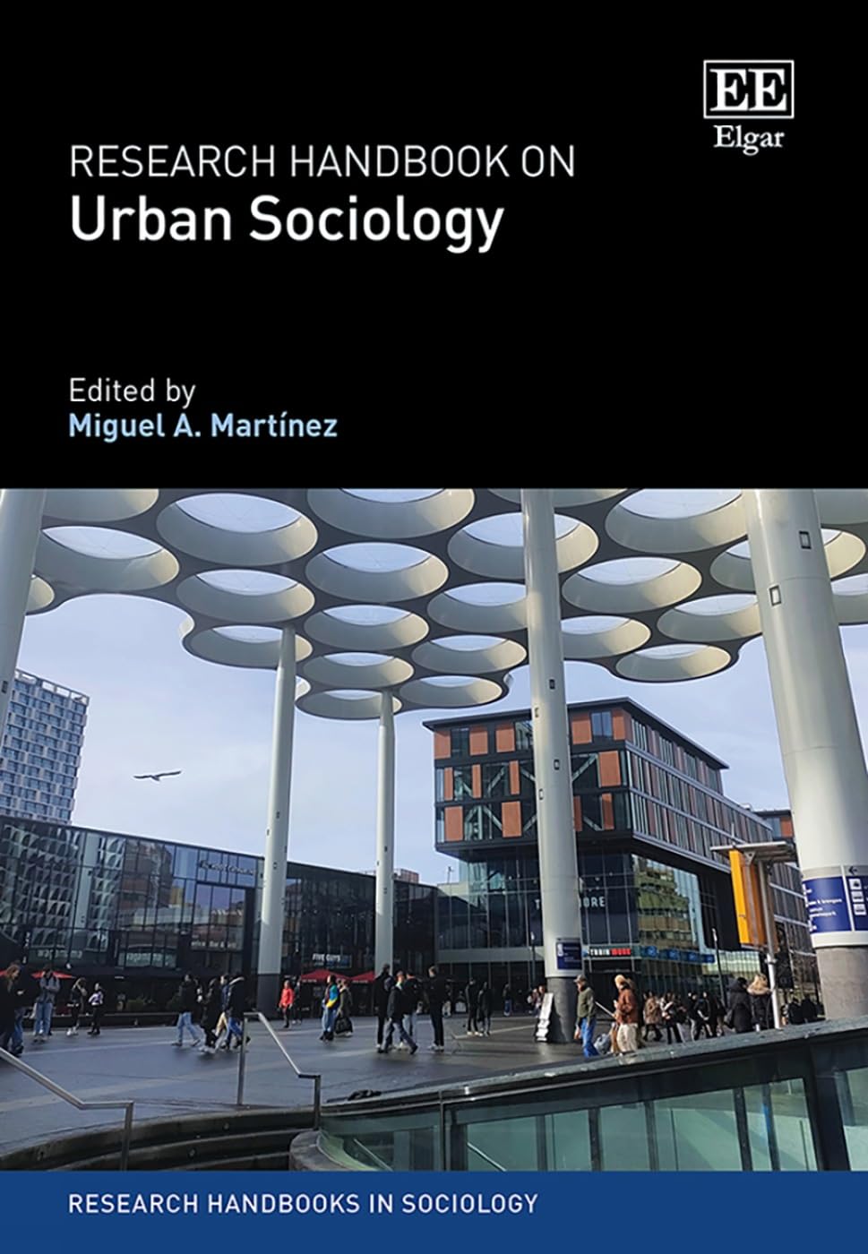 Research Handbook on Urban Sociology (Research Handbooks in Sociology ...