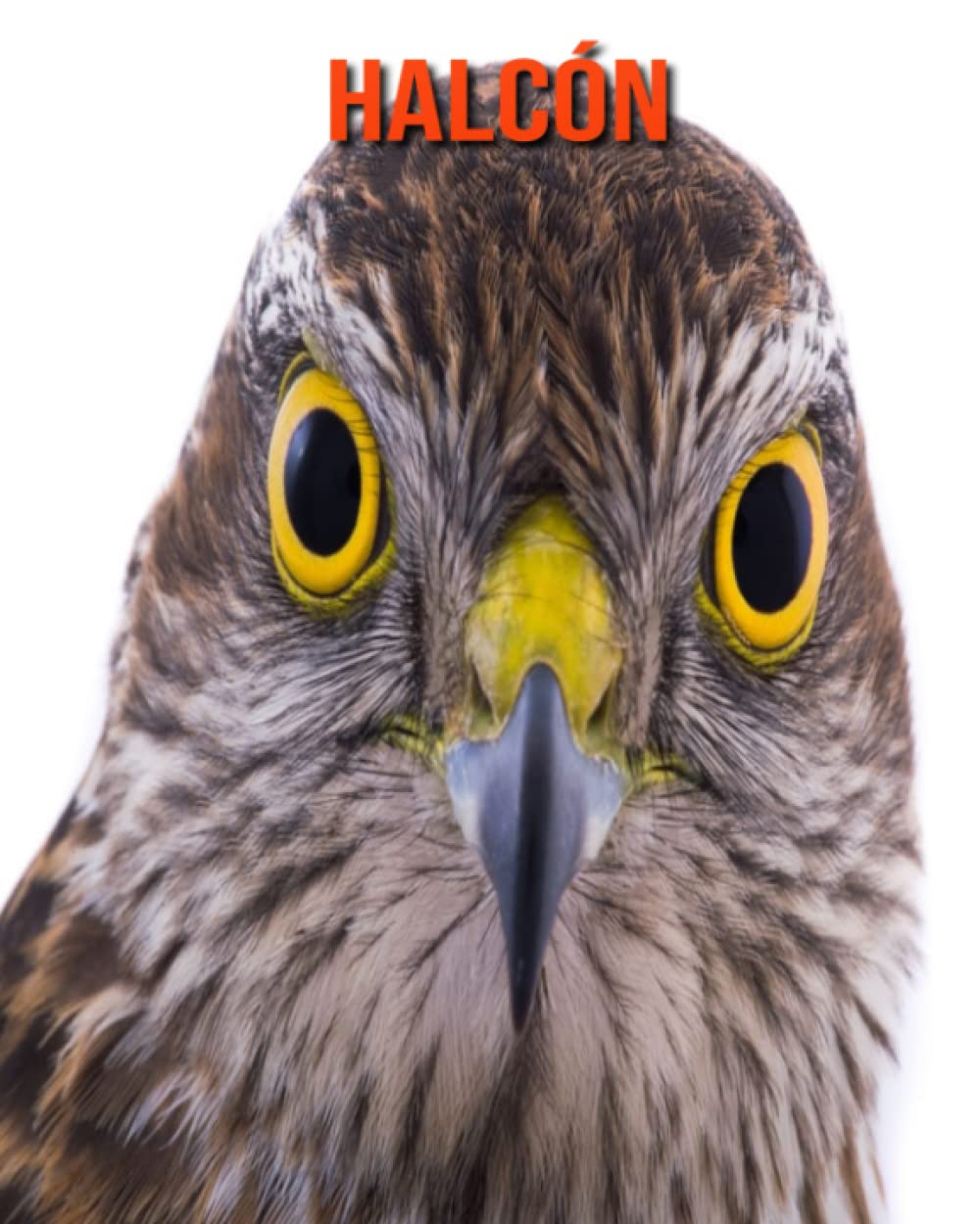 Halcon Libro Para Ninos Con Imagenes Asombrosas Y Datos Curiosos | Desertcart Cyprus