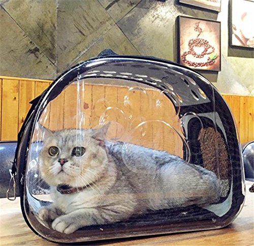 FidgetGear Pet Cat Carry Bag Transparent Foldable Should Bag Handle Bag ...