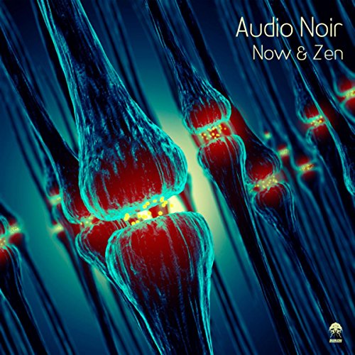 Amazon.com: Now & Zen : VARIOUS ARTISTS: Digital Music