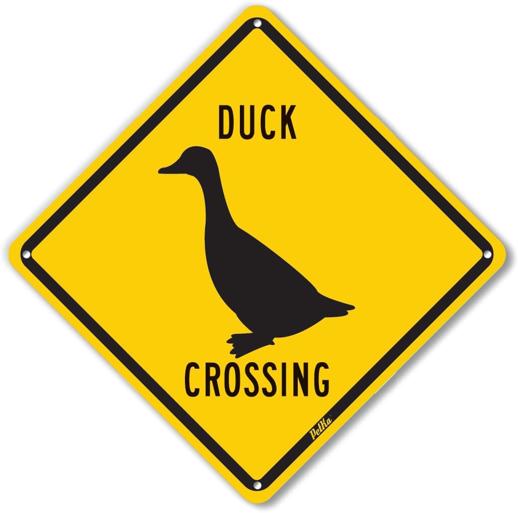 Amazon.com : Funny Chickens Duck Coop Sign Fluffy Hut-Last One in is A ...