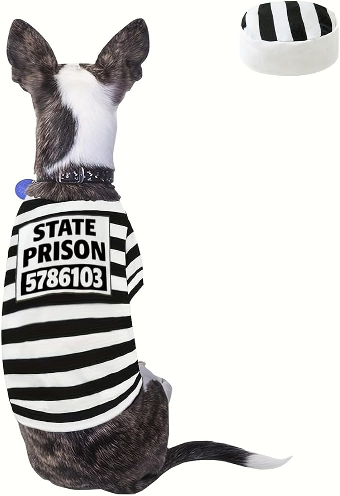 Amazon.com : Halloween Dog Prisoner Costume Furry Inmate Outfit for Pet ...