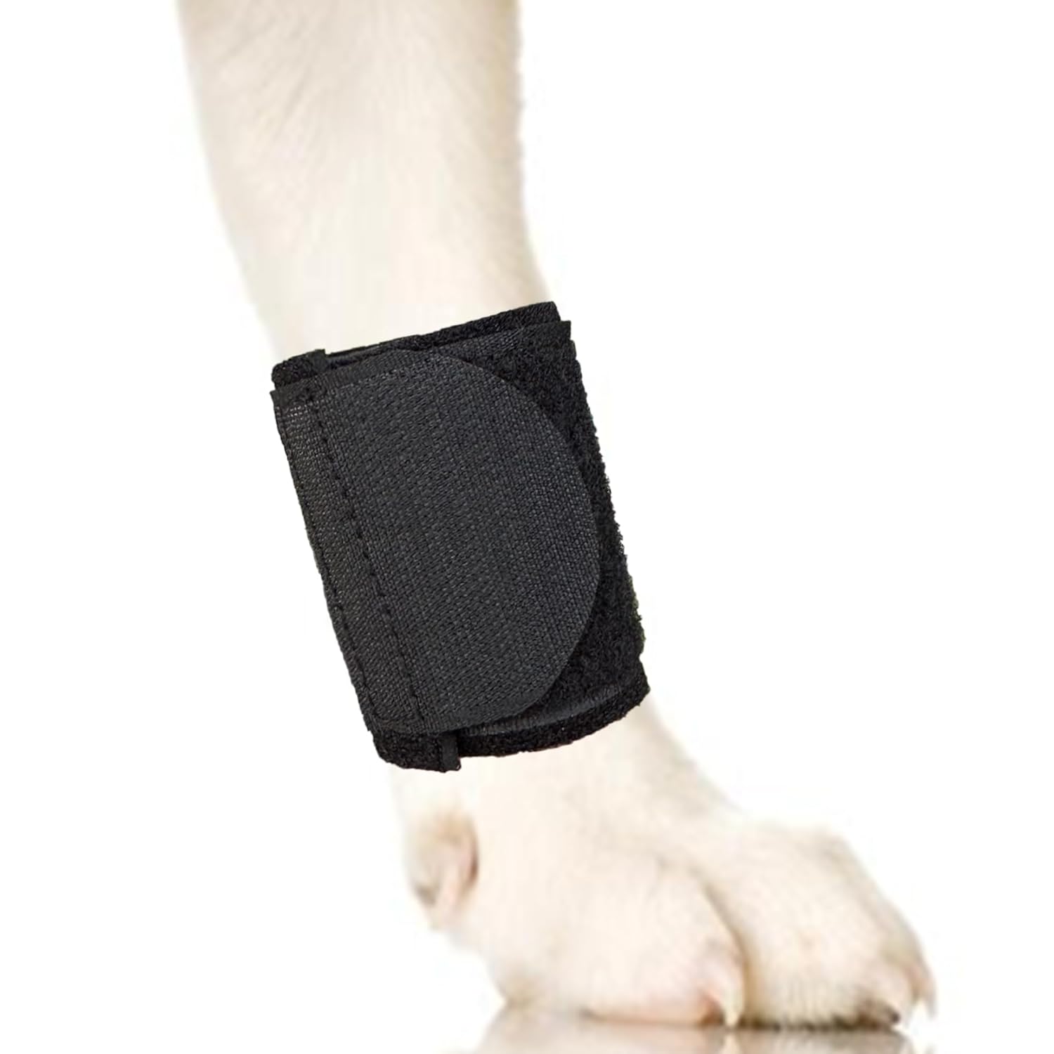 Amazon.com : GenetGo Dog Canine Front Leg Brace Paw Compression Sleeve ...