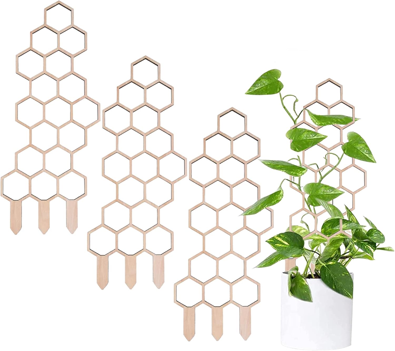 Amazon.com : Plant Trellis for Potted Plants，3 Pack Small Plant Trellis ...