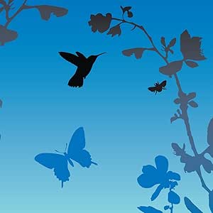 IONA Cards - 8 Notelets with envelopes - Dawn to Dusk - Notecards ...