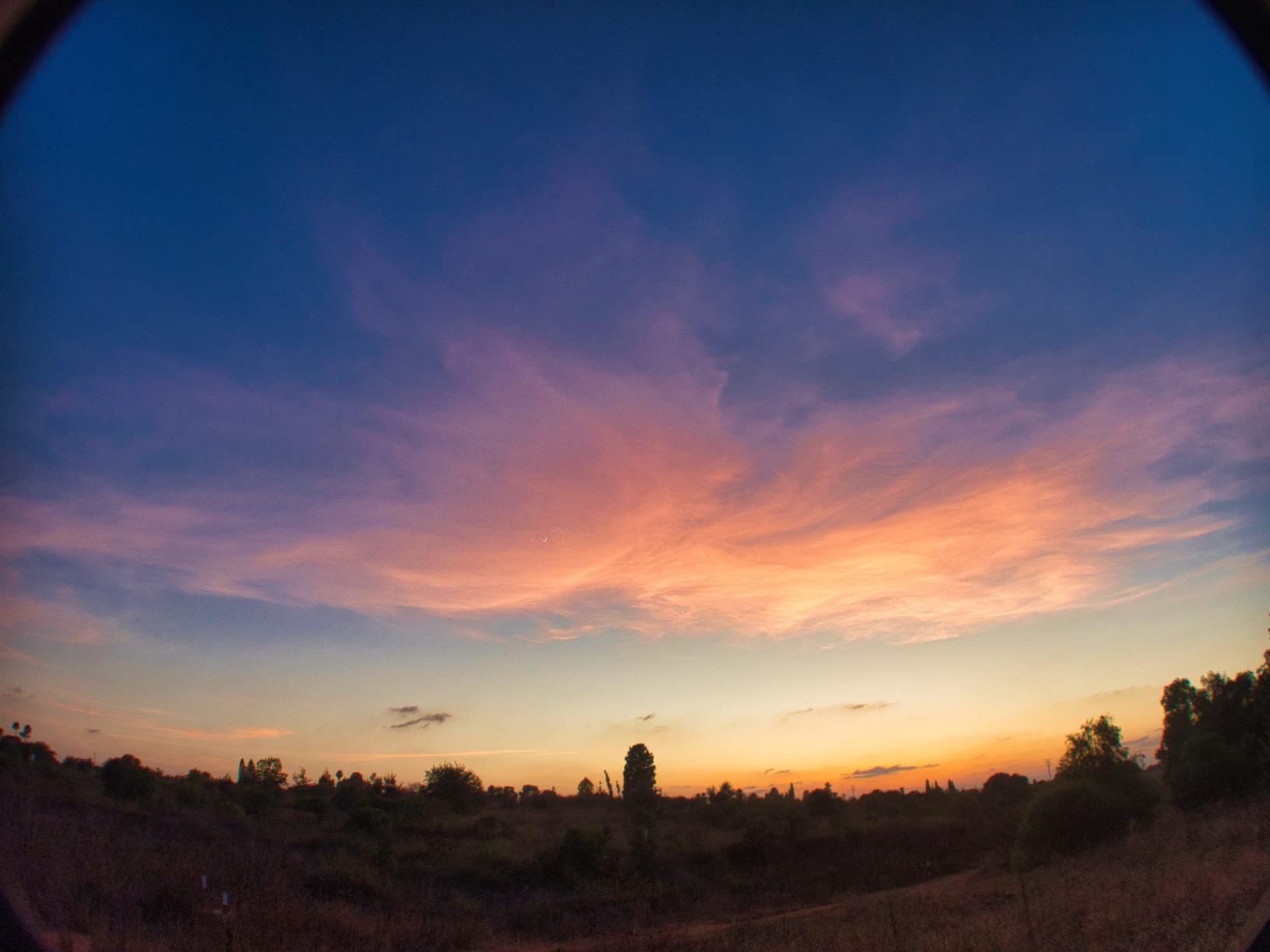 Amazon.com: Olympus TG-7、TG-6、TG-5、TG-4、TG-3、TG-2、TG-1 的廣角鏡頭(包括轉接器) : 電子