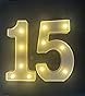 Amazon.com: Marquee Numbers 15th Birthday Decorations For Girls Boys,15 ...