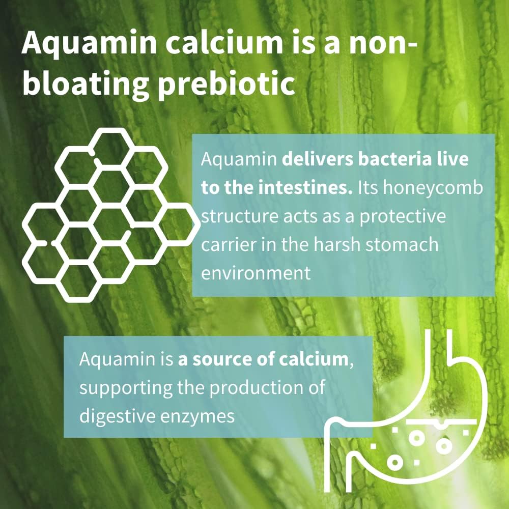 Live Cultures+ Lab4 Probiotics and Prebiotic, Gentle & Non-Bloating ...