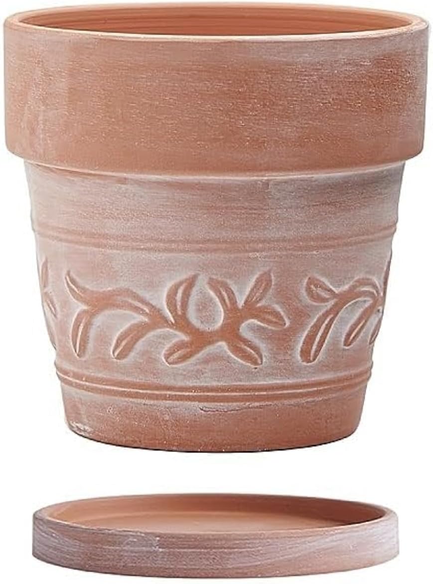 Amazon.com : Wavy Studio 8" Rustic Weathered Terracotta Plant Pot with ...