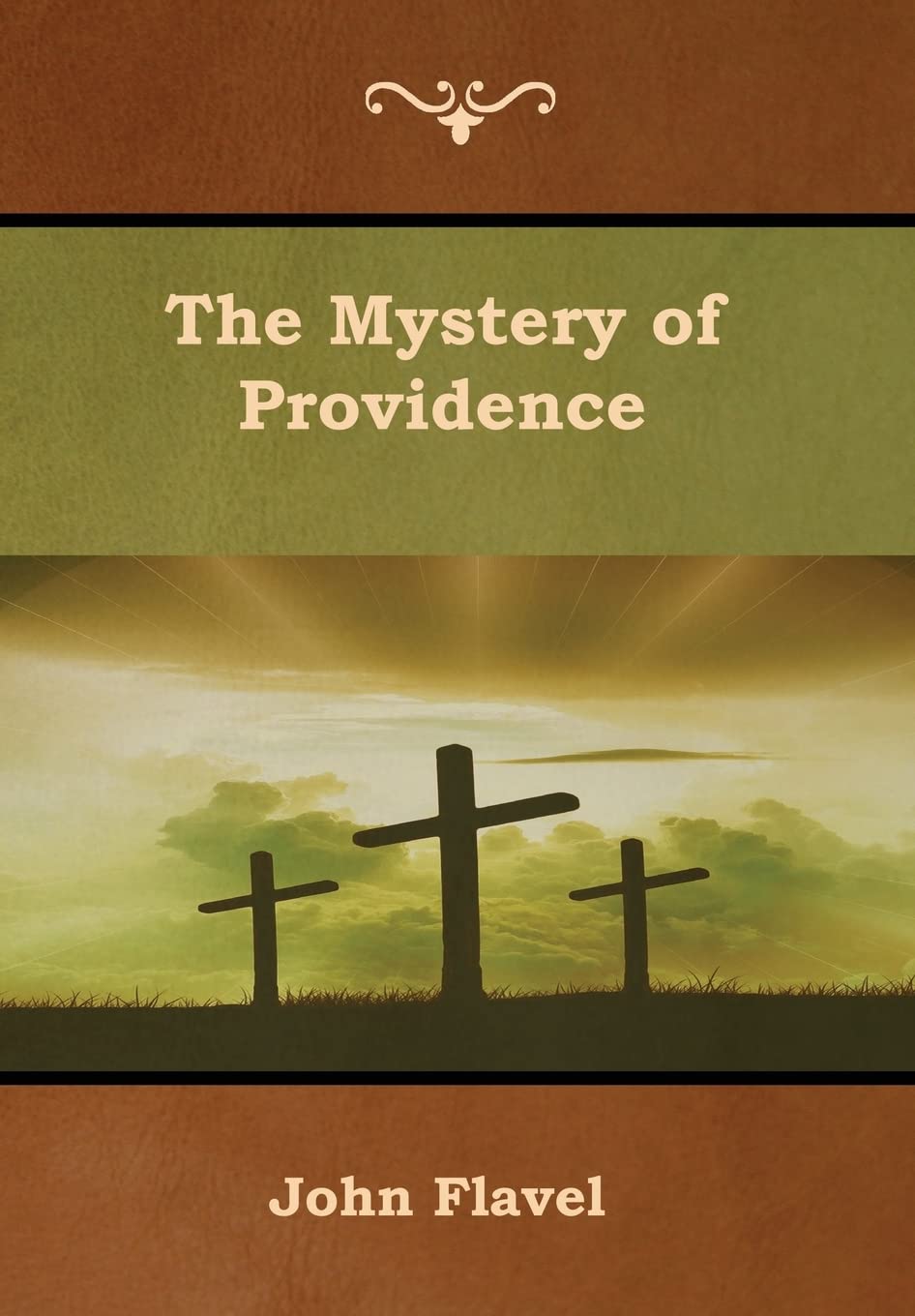 The Mystery of Providence: Flavel, John: 9781618954640: Amazon.com: Books
