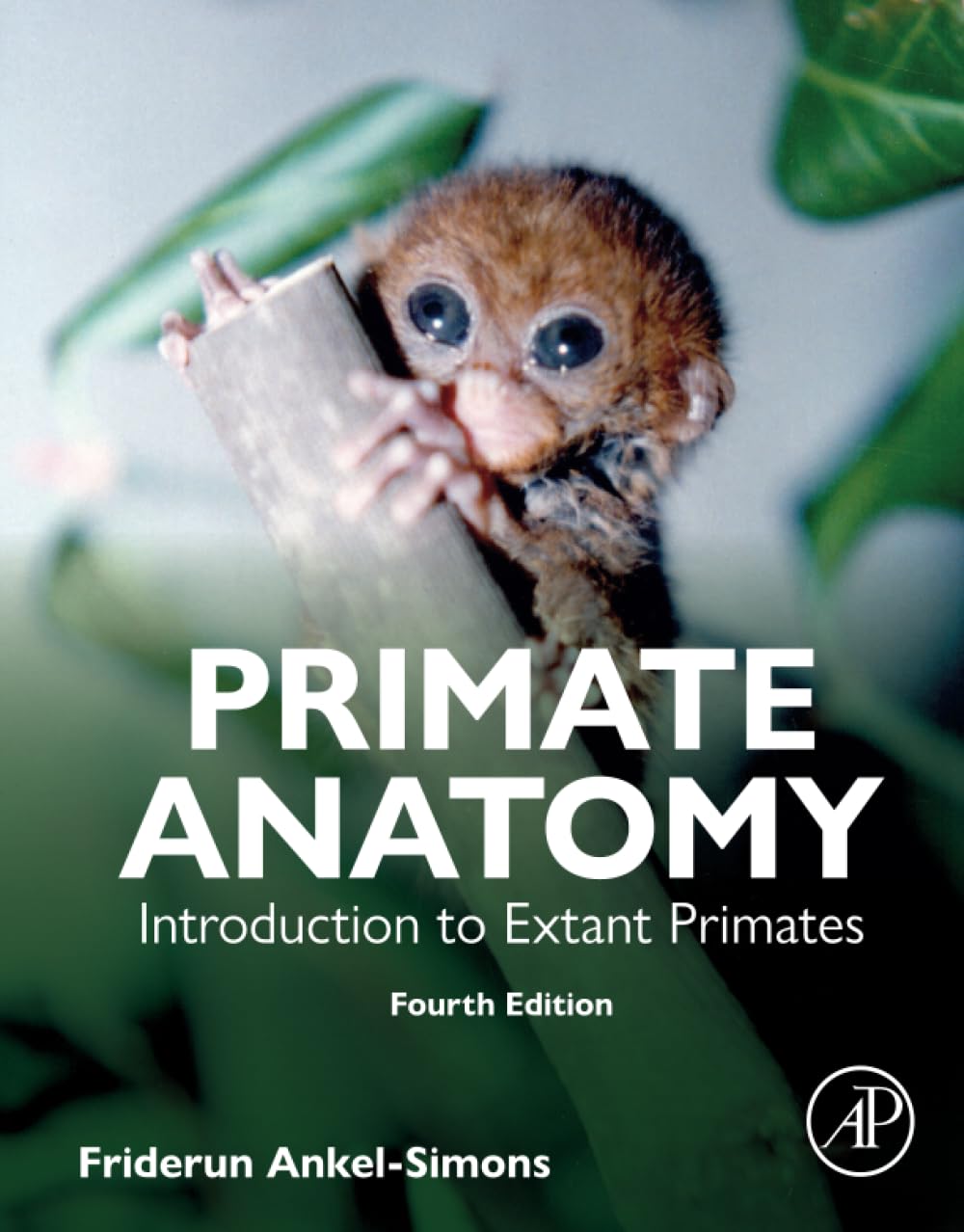 Amazon.com: Primate Anatomy: Introduction to Extant Primates ...