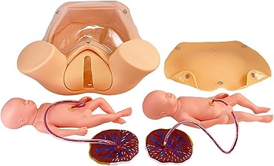 ITSROCK Childbirth Simulator, Child Birth Education Nepal | Ubuy
