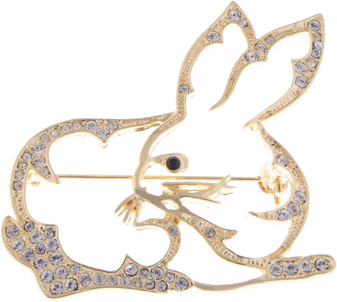 Amazon.com: Alilang Golden Tone Clear Crystal Colored Rhinestones ...