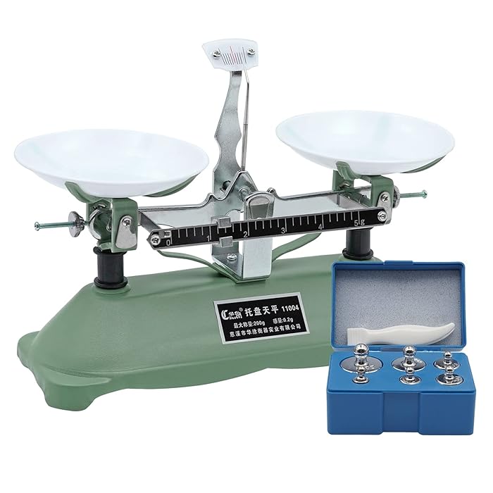 Buy nomal Balance Scale, 200g Double Pan Balance Scale with Weights and ...