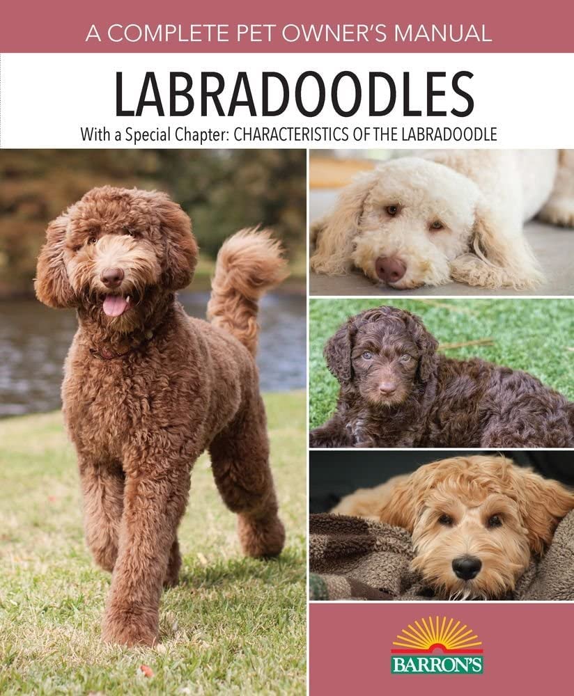 Labradoodles: A-Z Guide for Choosing, Preparing for, Raising, Grooming ...