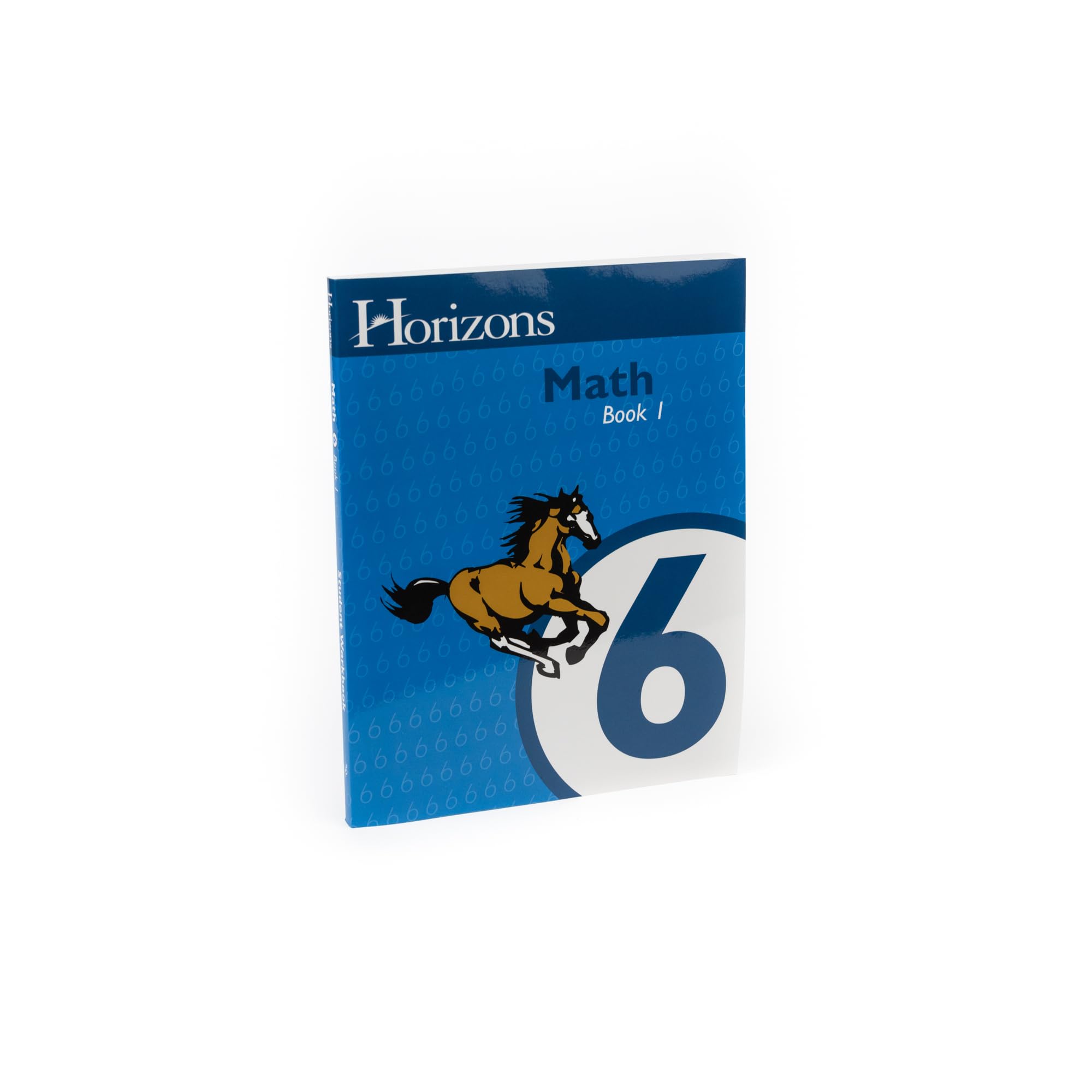 Snapklik.com : Horizons 6th Grade Math Student Book 1