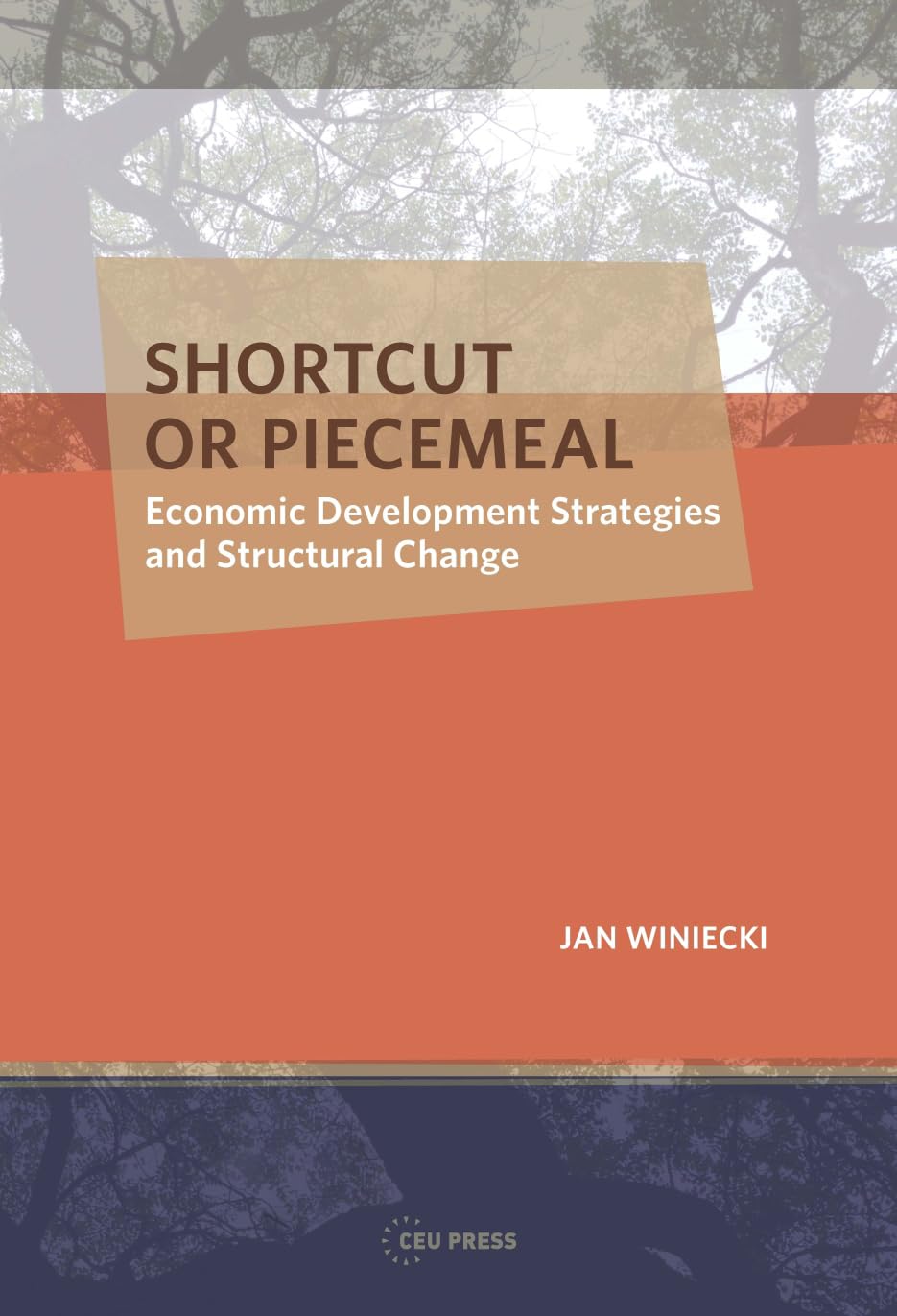 Shortcut or Piecemeal: Economic Development Strategies and Structural ...