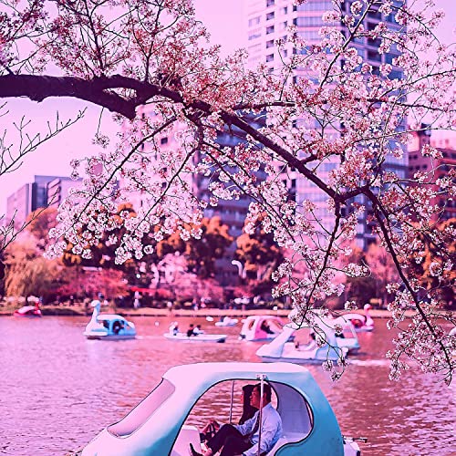 Amazon Music Unlimited - Upbeat Instrumental Music 『Lounge Bars - Subtle』