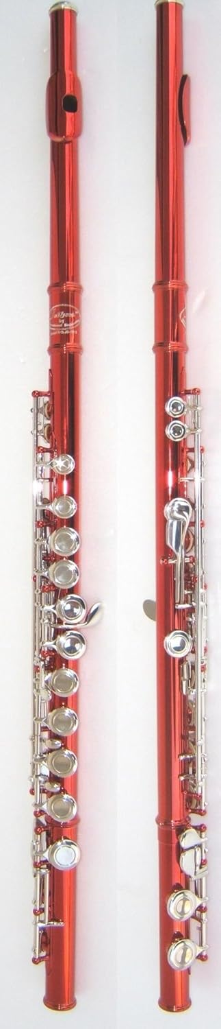 Amazon.com: Jollysun Red Flute : Musical Instruments