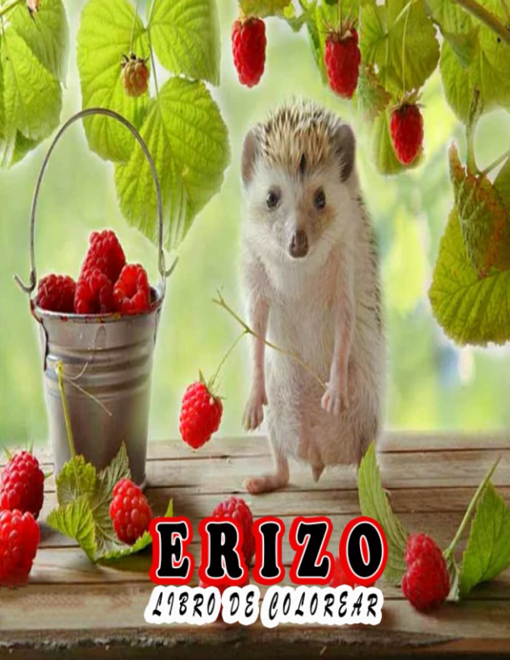 Ideria El Erizo Y