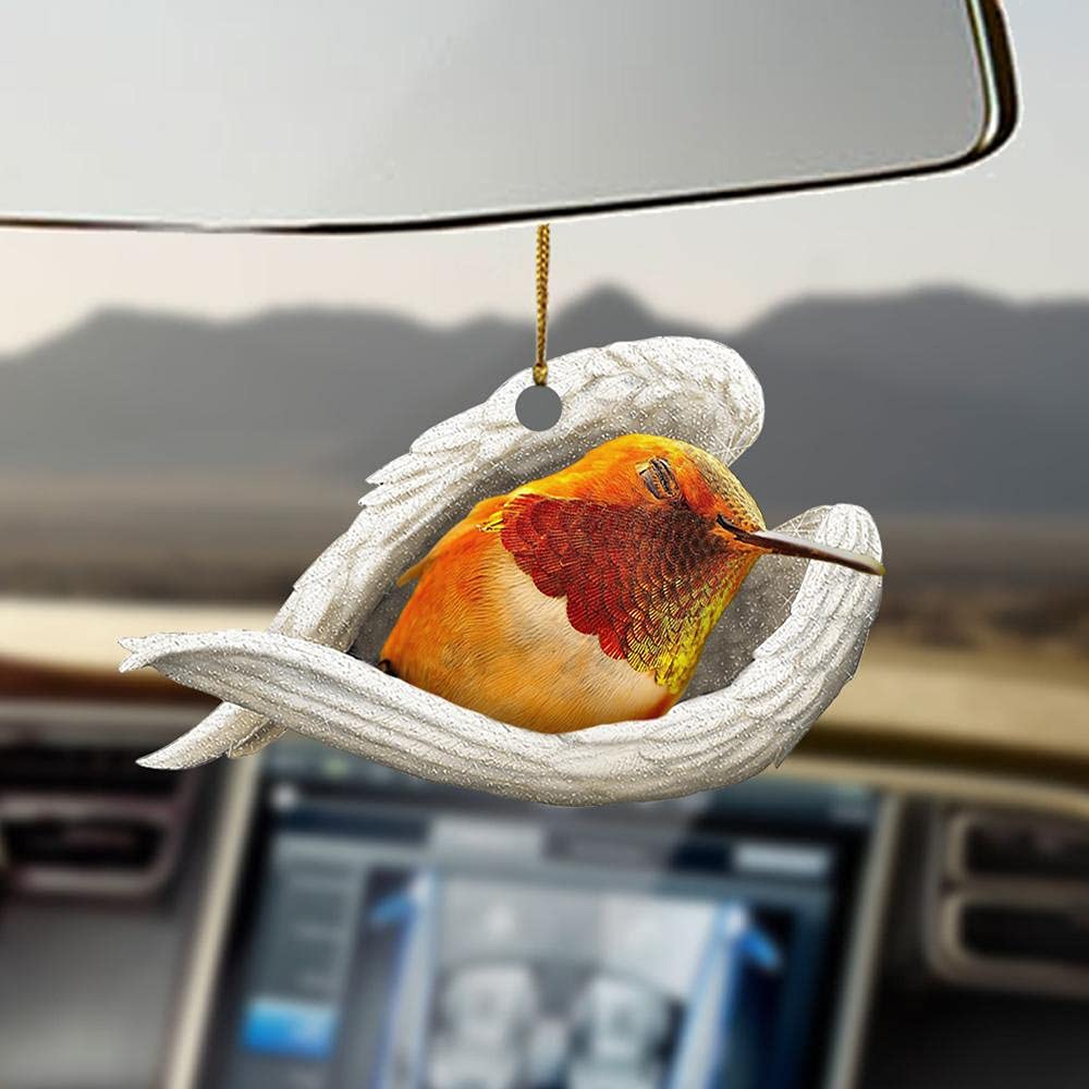 Sleeping Hummingbird