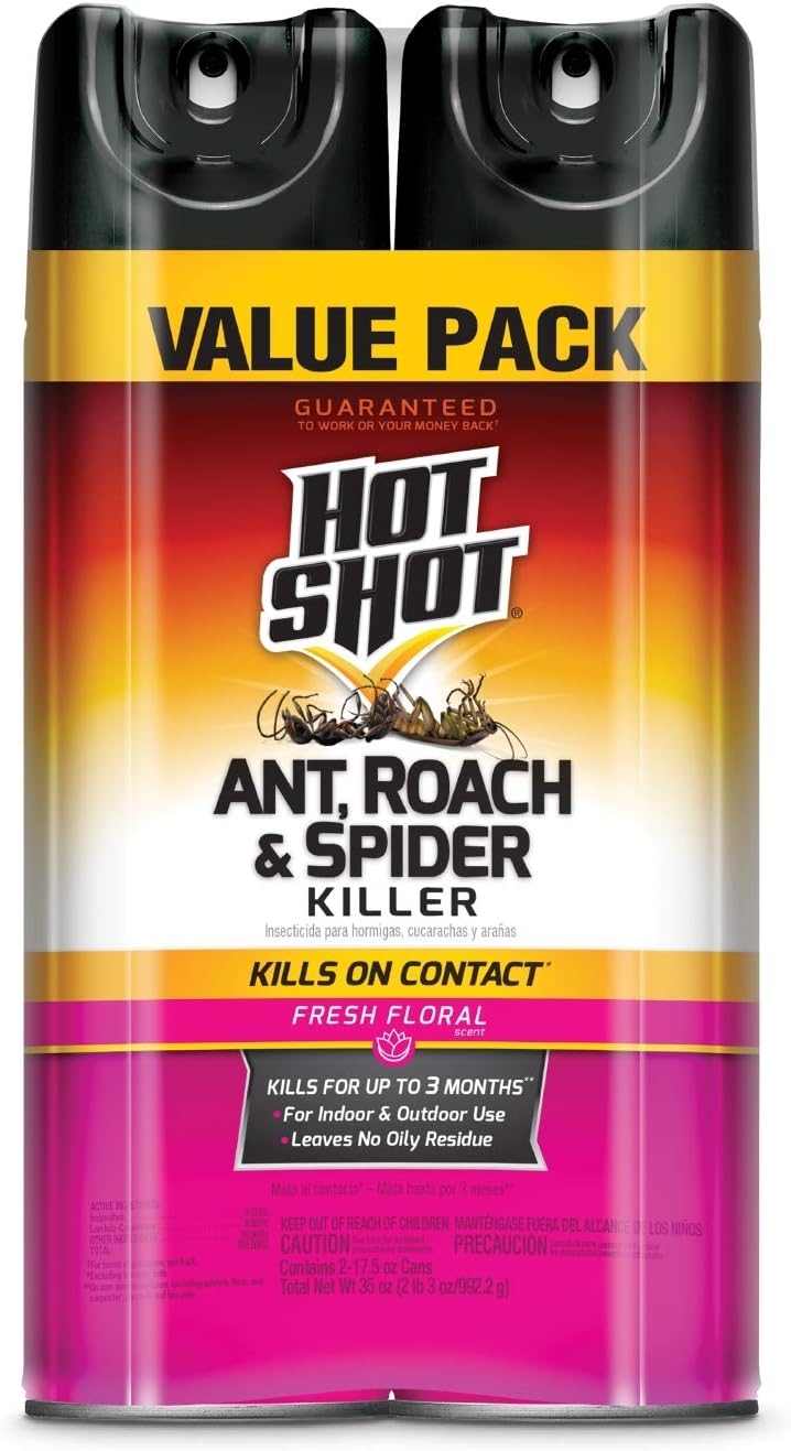 Amazon.com: Raid Ant & Roach Killer Spray Outdoor Fresh Scent 17.50 oz ...
