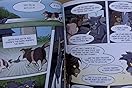 Warriors: Graystripe's Adventure: 3 Full-Color Warriors Books in 1: A ...