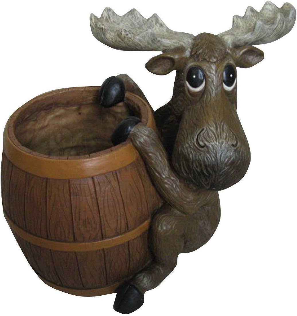 Amazon.com: Dhi/accents 464933 12-Inch Moose with Barrel : Beauty ...