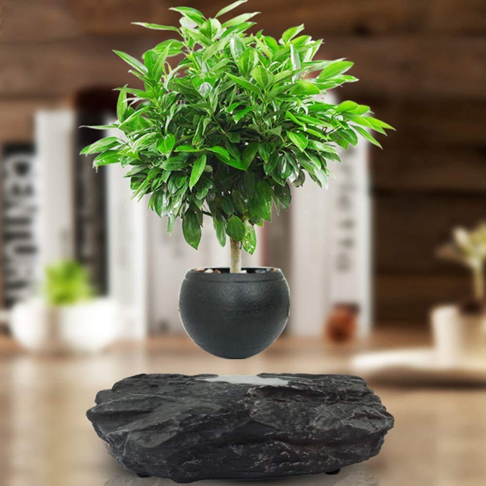 Levitating Bonsai Tree Spring Sale*) Air Bonsai Levitating Plant Pot