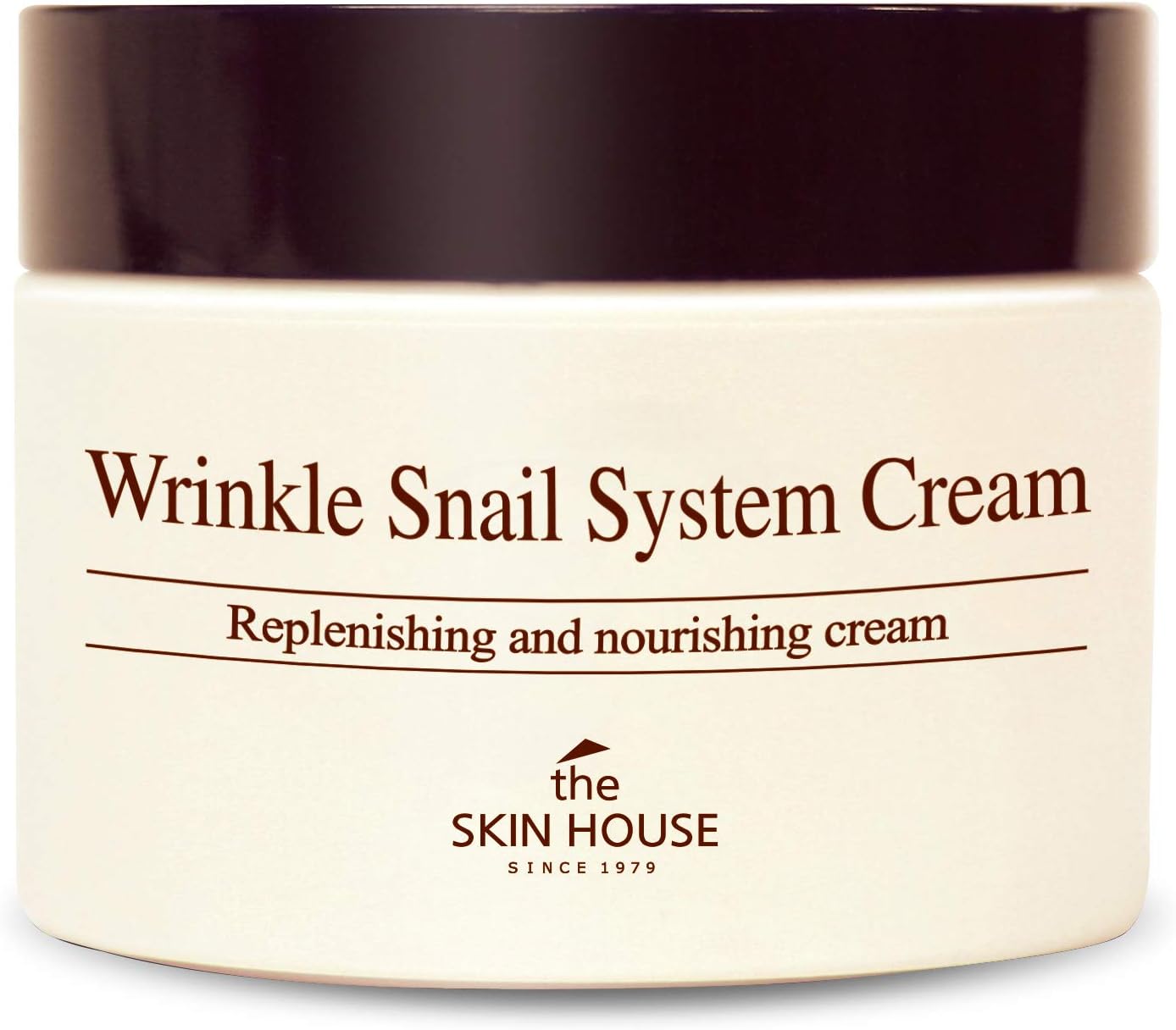 Amazon.com: Neutrogena Rapid Wrinkle Repair Retinol Face Moisturizer ...