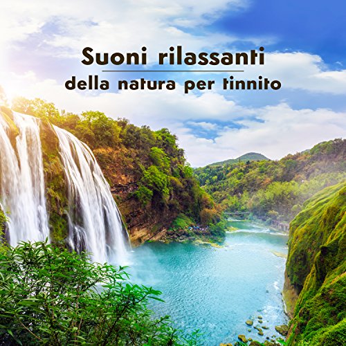 Riproduci Suoni rilassanti della natura per tinnito - Calma per te dopo ...