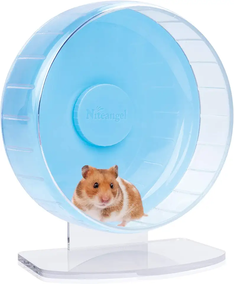 The Fascinating Explanation Behind A Hamster's Running On A Wheel | PetShun